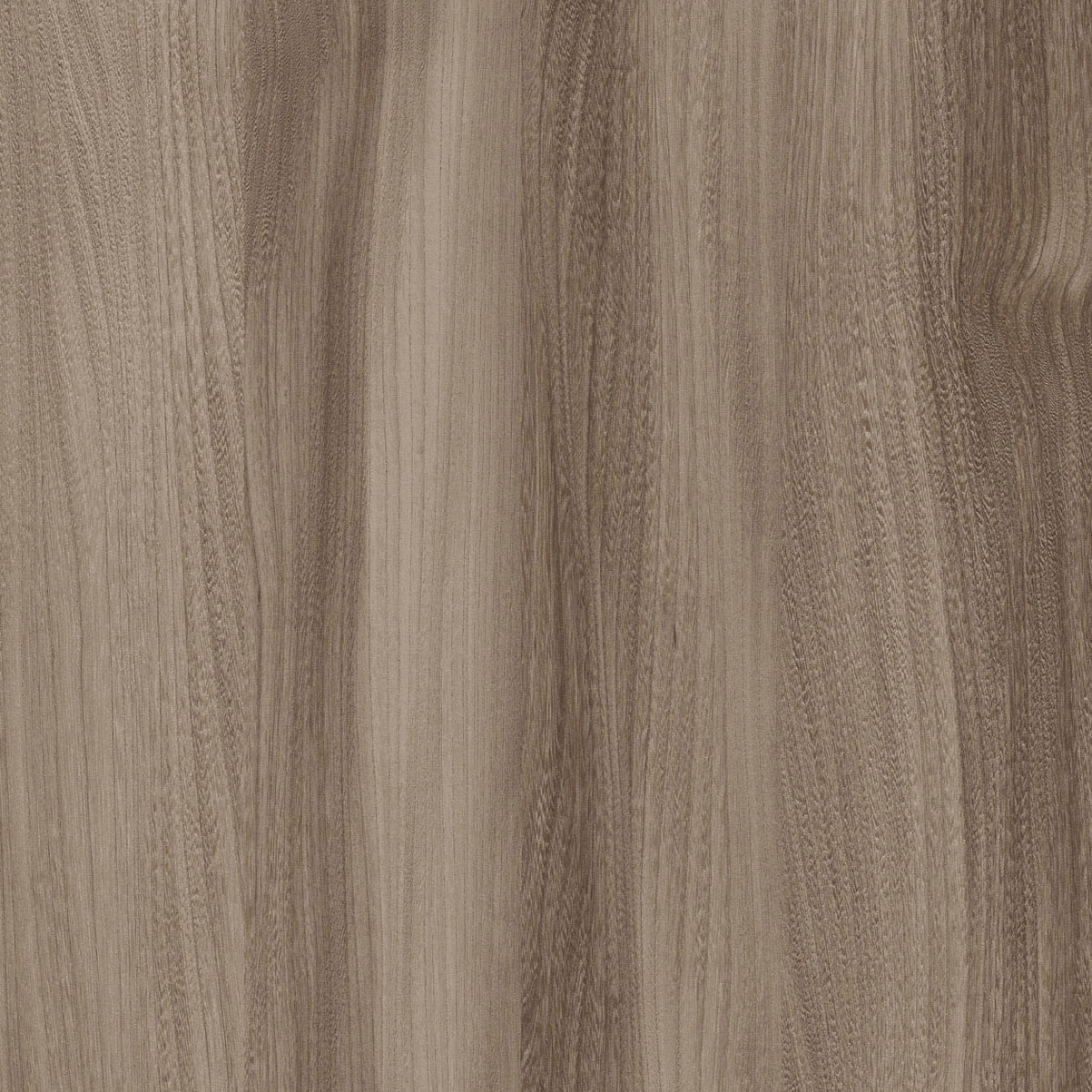 Derve Decor Store | Olmo Barone Tarufo